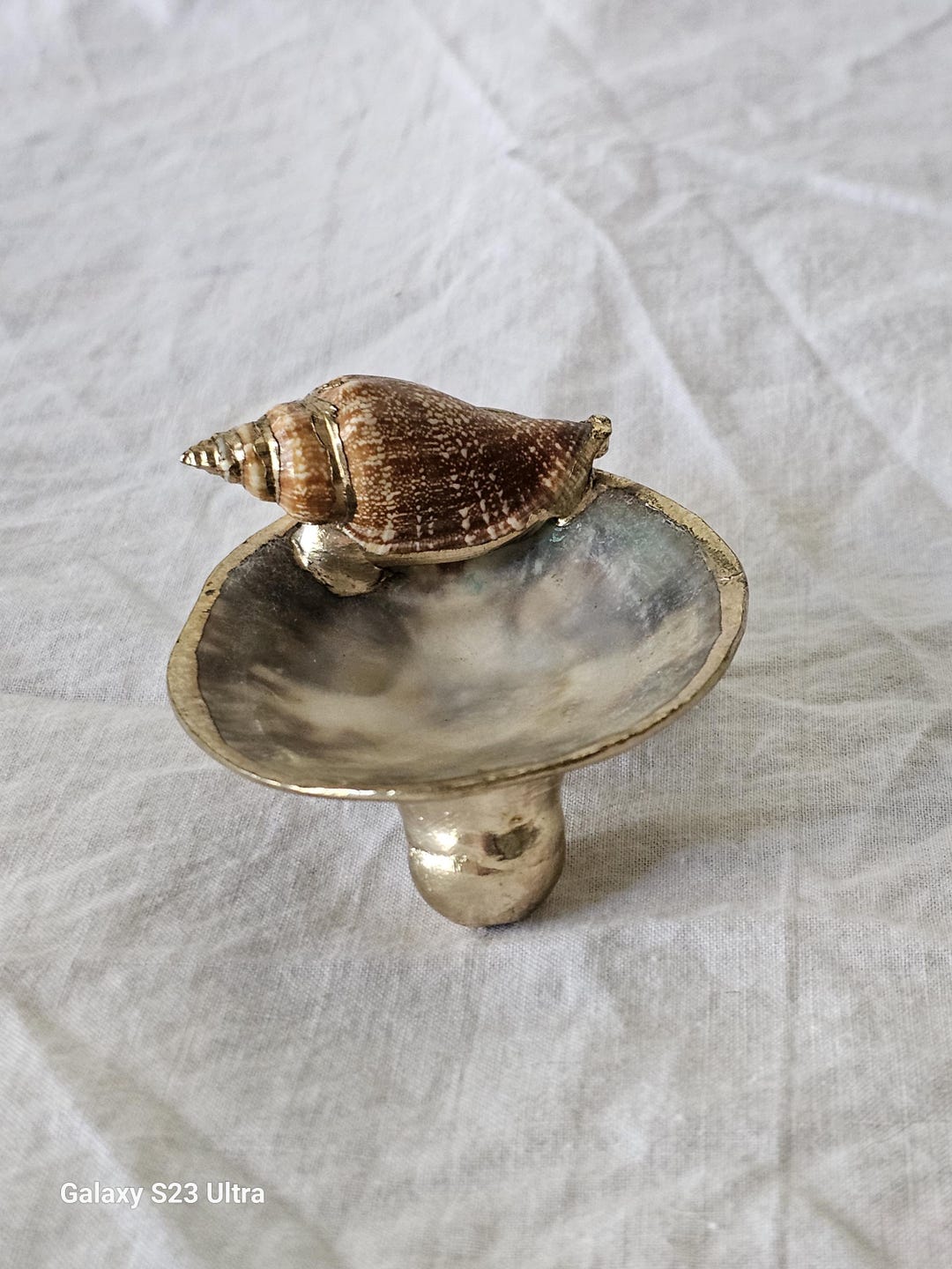 Rare Vintage Shell Ring Dish Beautiful Muscle Shell Base Three Legs ...