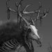 Wendigo - Digital File for Poster - Etsy