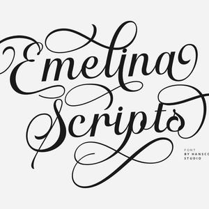 Emelina Scripts Font, Cursive Font, OTF, TTF Fonts Procreate, Fonts ...