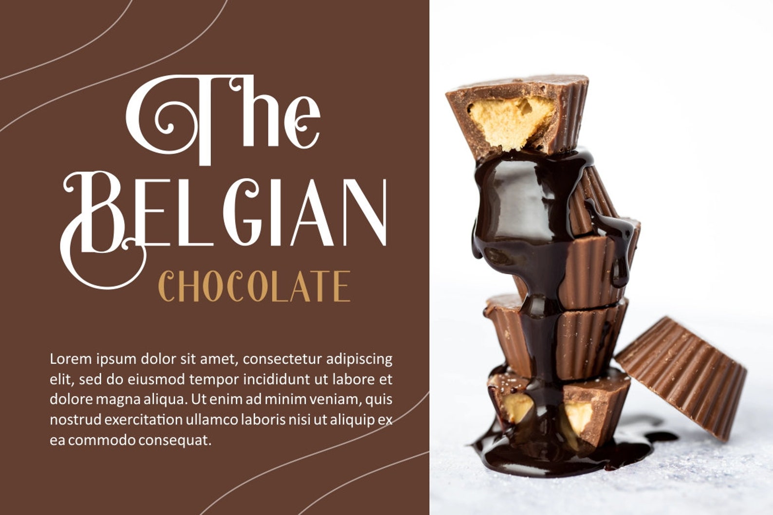 Crows Font Curly Serif Font SVG DXF OTF Ttf Fonts - Etsy