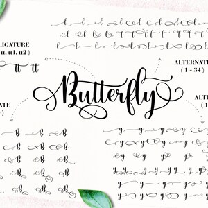 Madelyn Calligraphy Font, Cursive Font | SVG, DXF, OTF, Ttf | Fonts ...