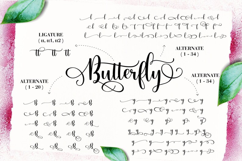 Madelyn Calligraphy Font Cursive Font SVG DXF OTF Ttf - Etsy