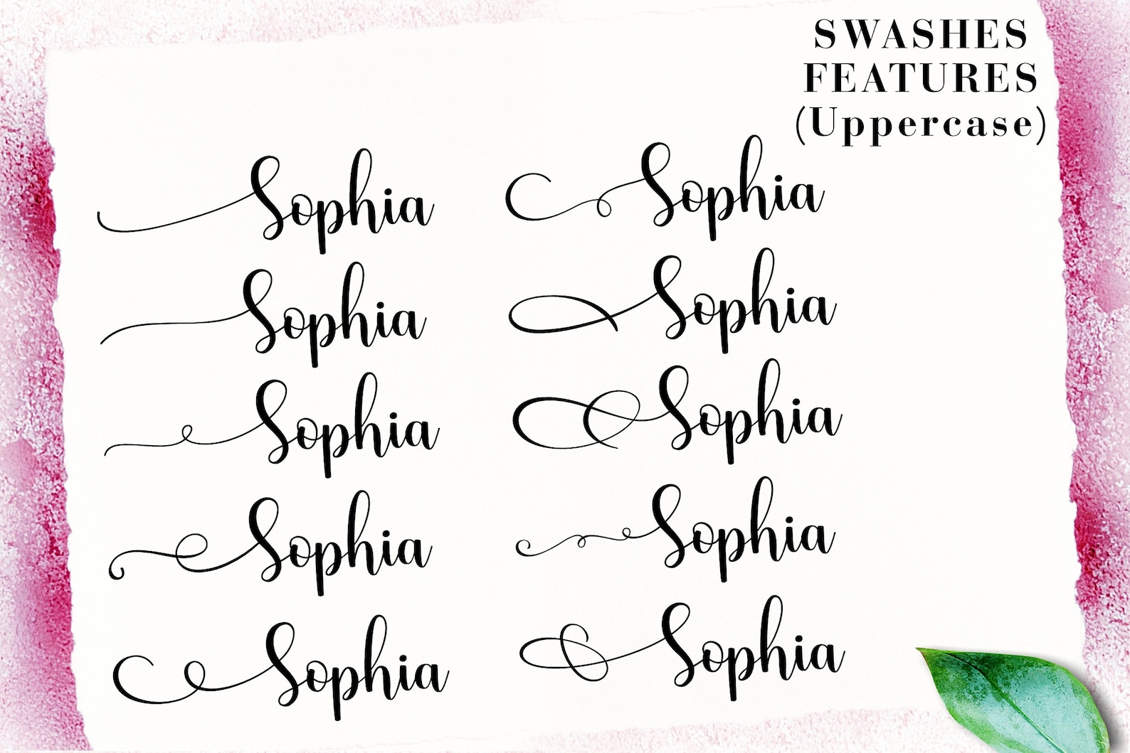 Madelyn Calligraphy Font Cursive Font SVG DXF OTF Ttf - Etsy