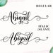Madelyn Calligraphy Font, Cursive Font SVG, DXF, OTF, Ttf Fonts ...