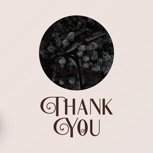 Crows Font Curly Serif Font SVG DXF OTF Ttf Fonts - Etsy