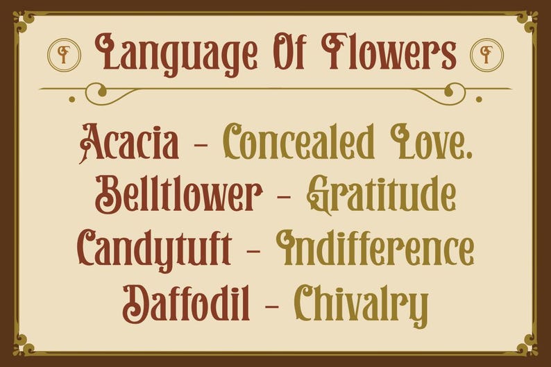Christon Hunington Font | SVG, OTF, TTF | Fonts Procreate, Fonts Cricut ...