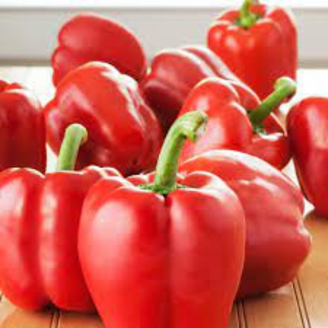 Premium Big Red Sweet Bell Pepper - Fresh Organic, Heirloom Seeds - Eat ...
