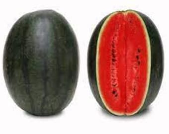 Black Diamond Watermelon Heirloom Seeds - Etsy