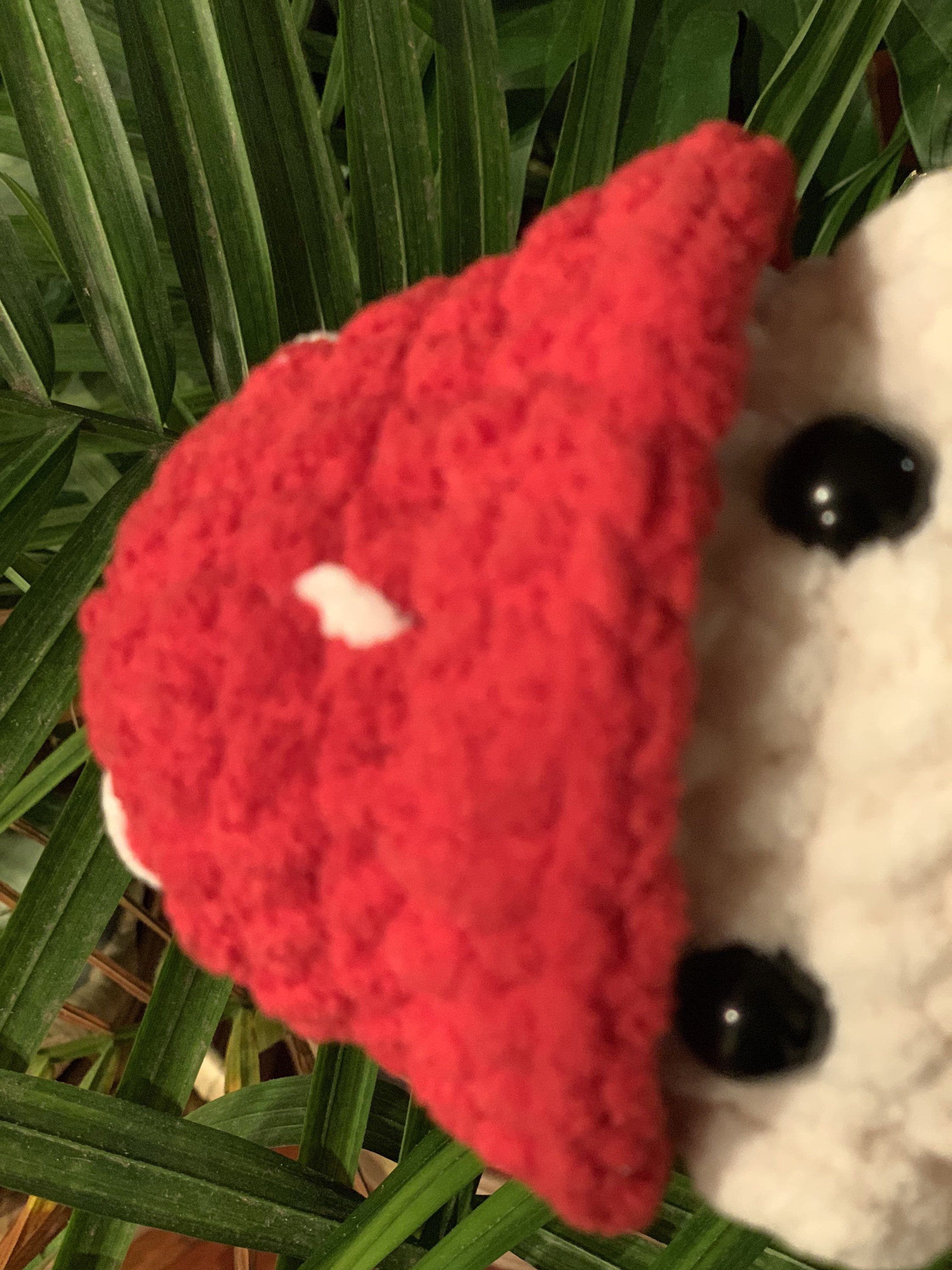 CUSTOM COLOR Handmade Crochet Mushroom Mushies Mushroom - Etsy