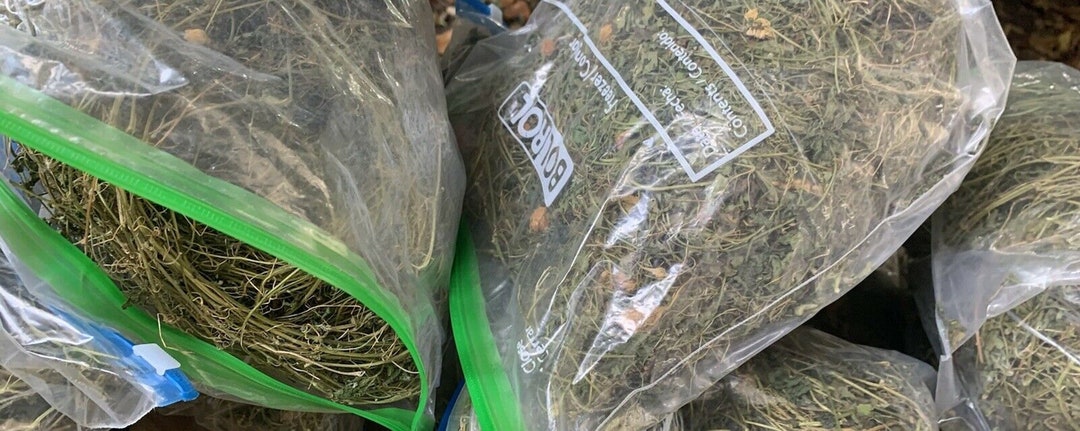 100% Jamaican Organic Dried Cerasee Leaves High in Minerals and ...