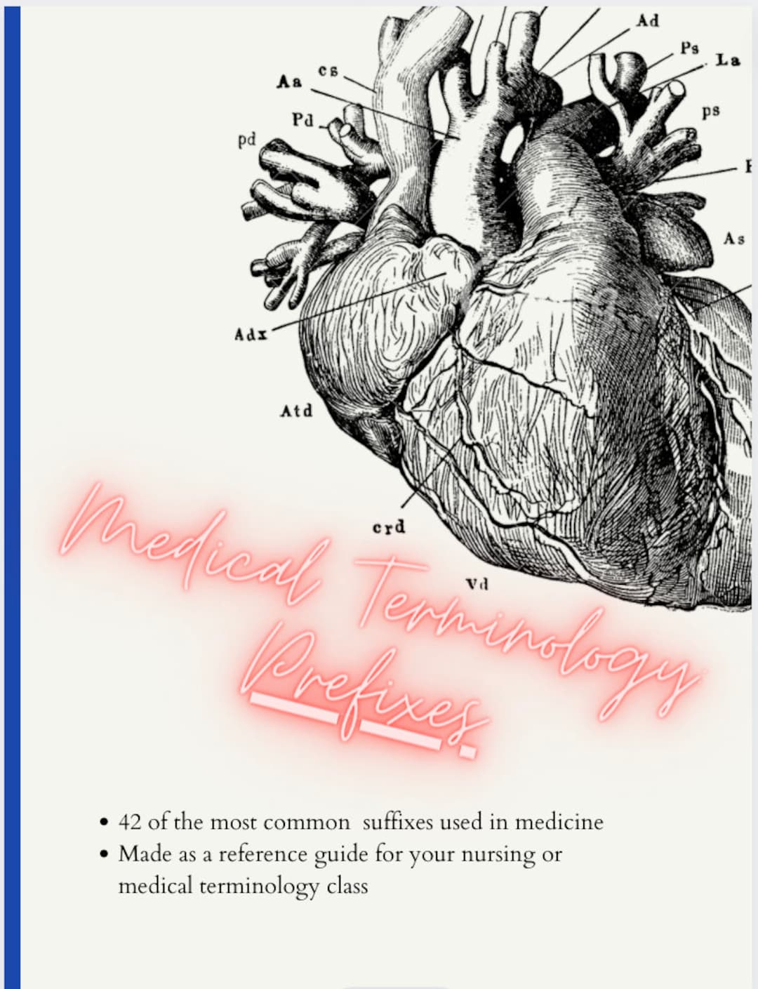 Medical Prefixes / Medical Terminology / Nursing/ Reference Sheet - Etsy