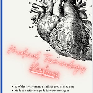 Medical Prefixes / Medical Terminology / Nursing/ Reference Sheet - Etsy