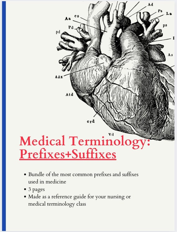 Bundle of Medical Prefixes Suffixes / Nursing Medical | Etsy