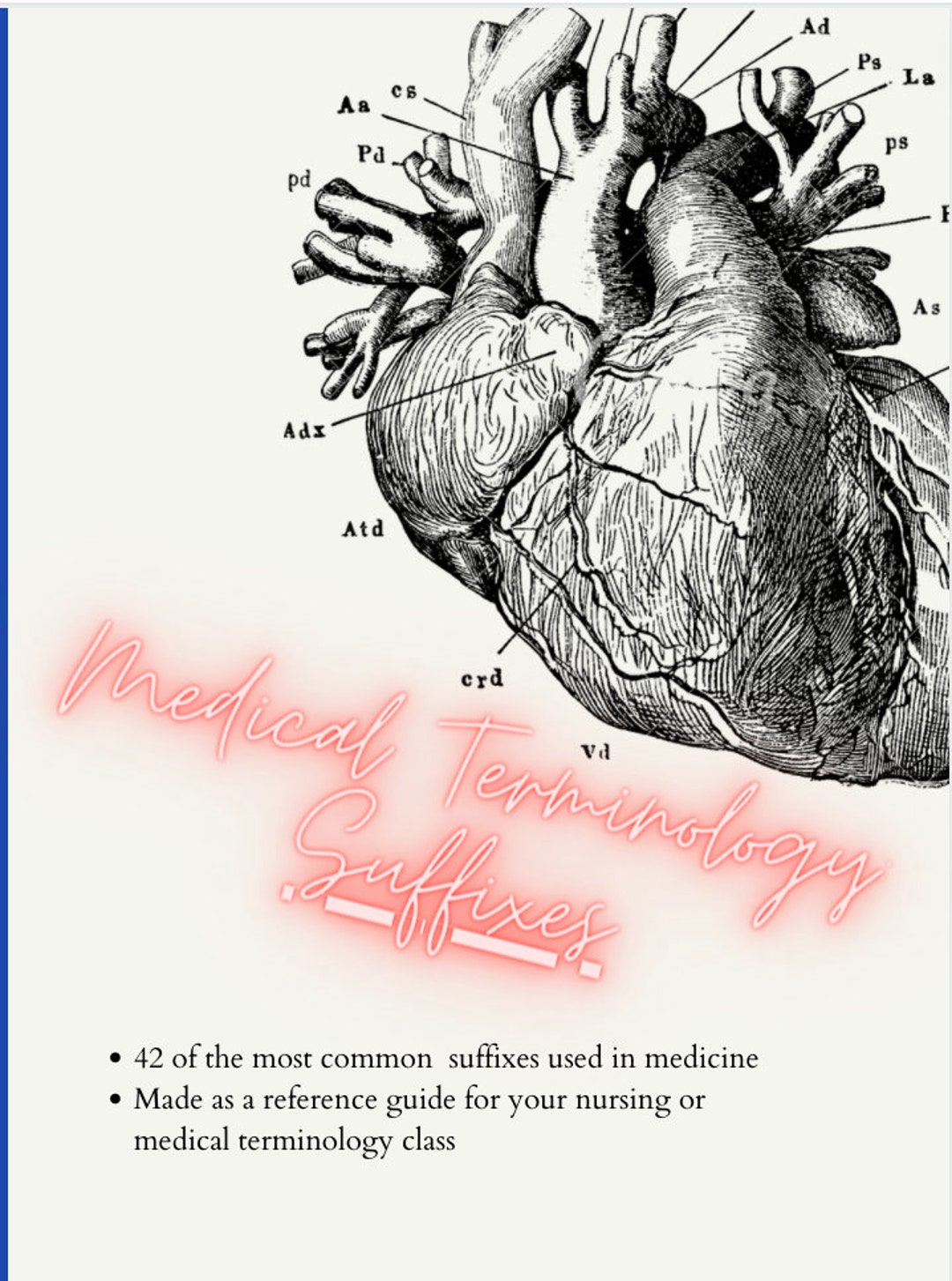 Medical Suffixes / Nursing Medical Terminology / Reference Sheet - Etsy