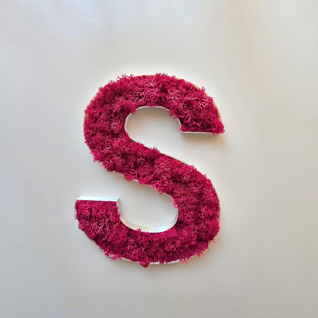 Pink Moss Letter | 3D Printed Initial Wall Art - Etsy