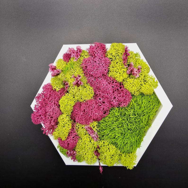 3D Printed Hexagon Moss Frame – Preserved Moss and Dried Flowers Wall ...