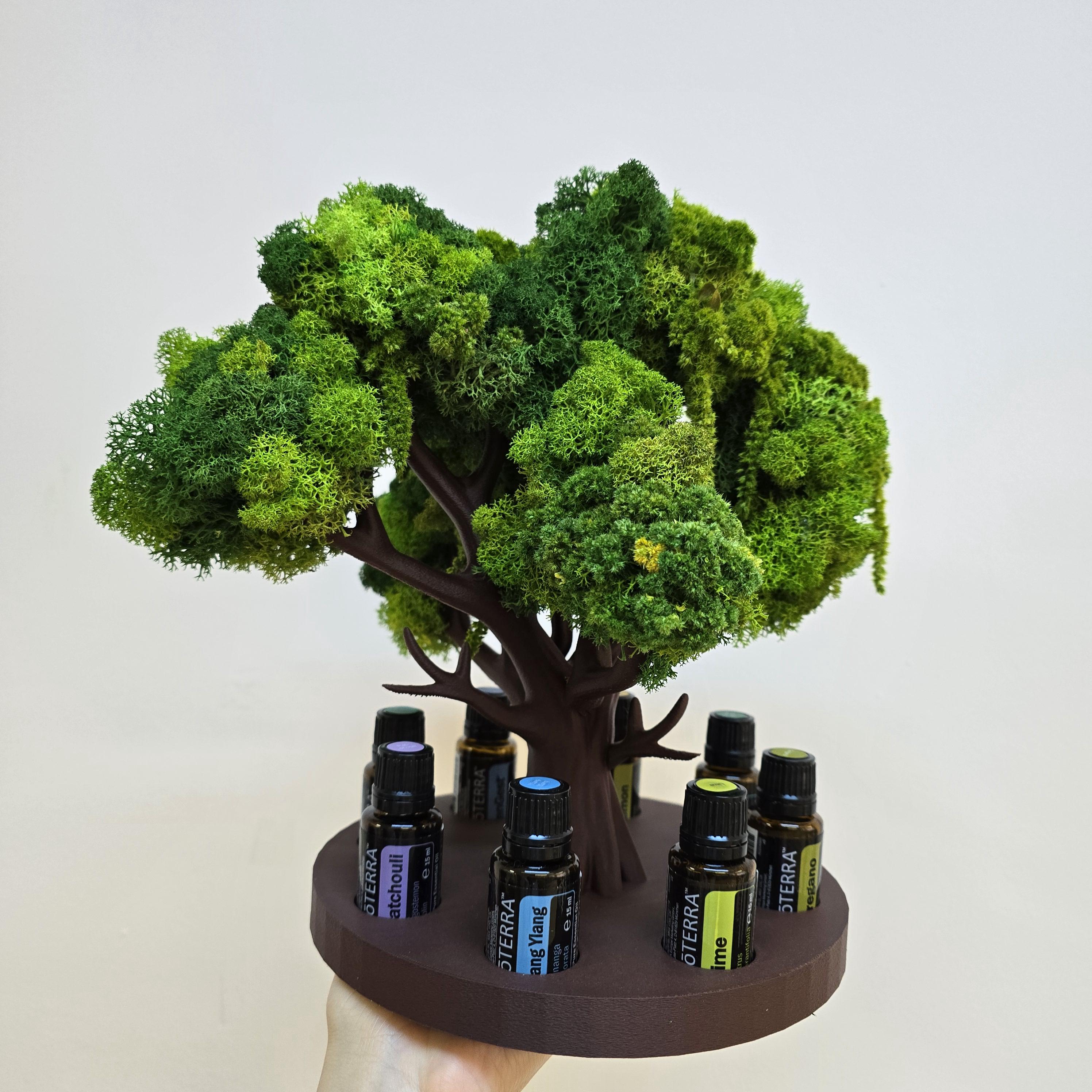 3D Printed Essential Oil Holder Tree With Preserved Moss | Doterra Oil ...