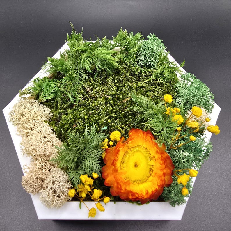 3D Printed Hexagon Moss Art – Preserved Botanical Wall Decor - Etsy