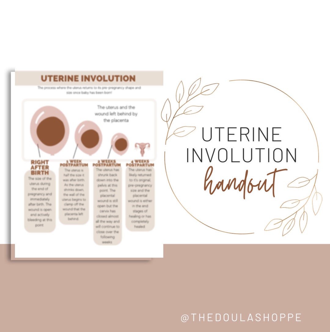 Uterine Involution Postpartum Handout Etsy