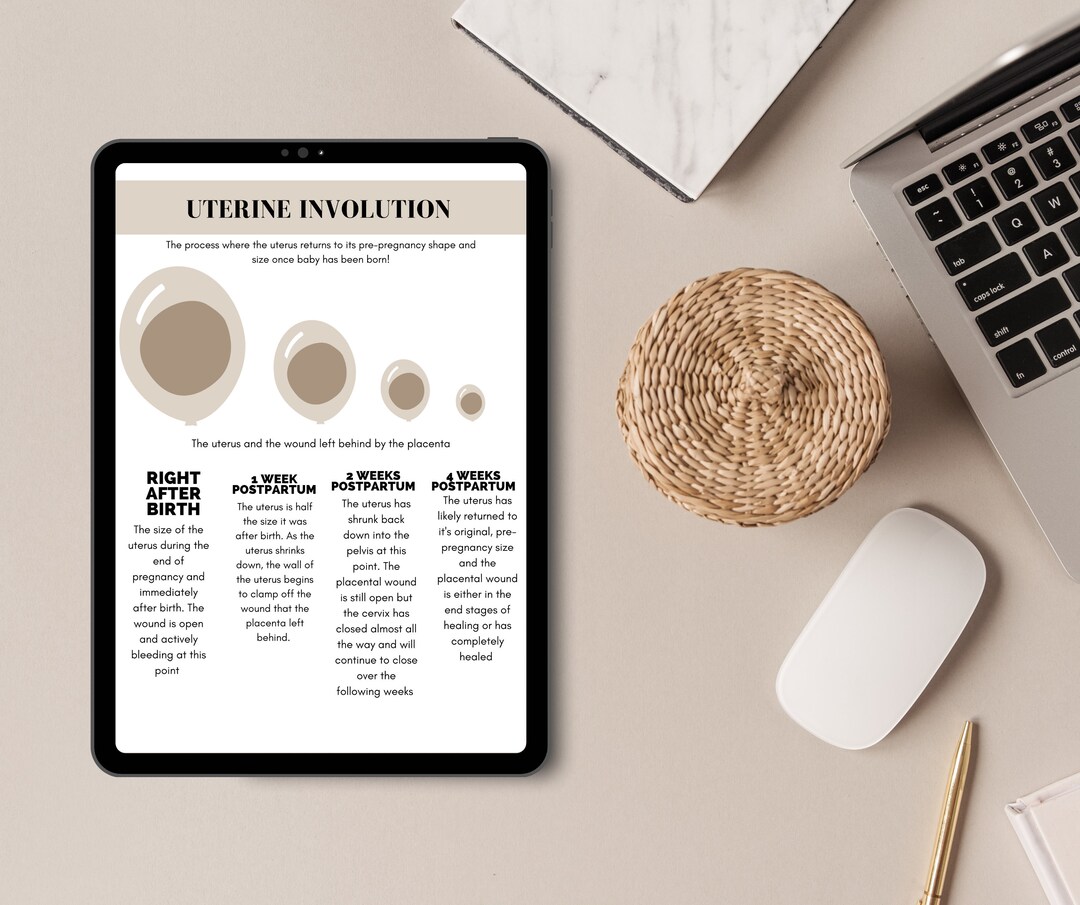Uterine Involution, Postpartum Handout - Etsy