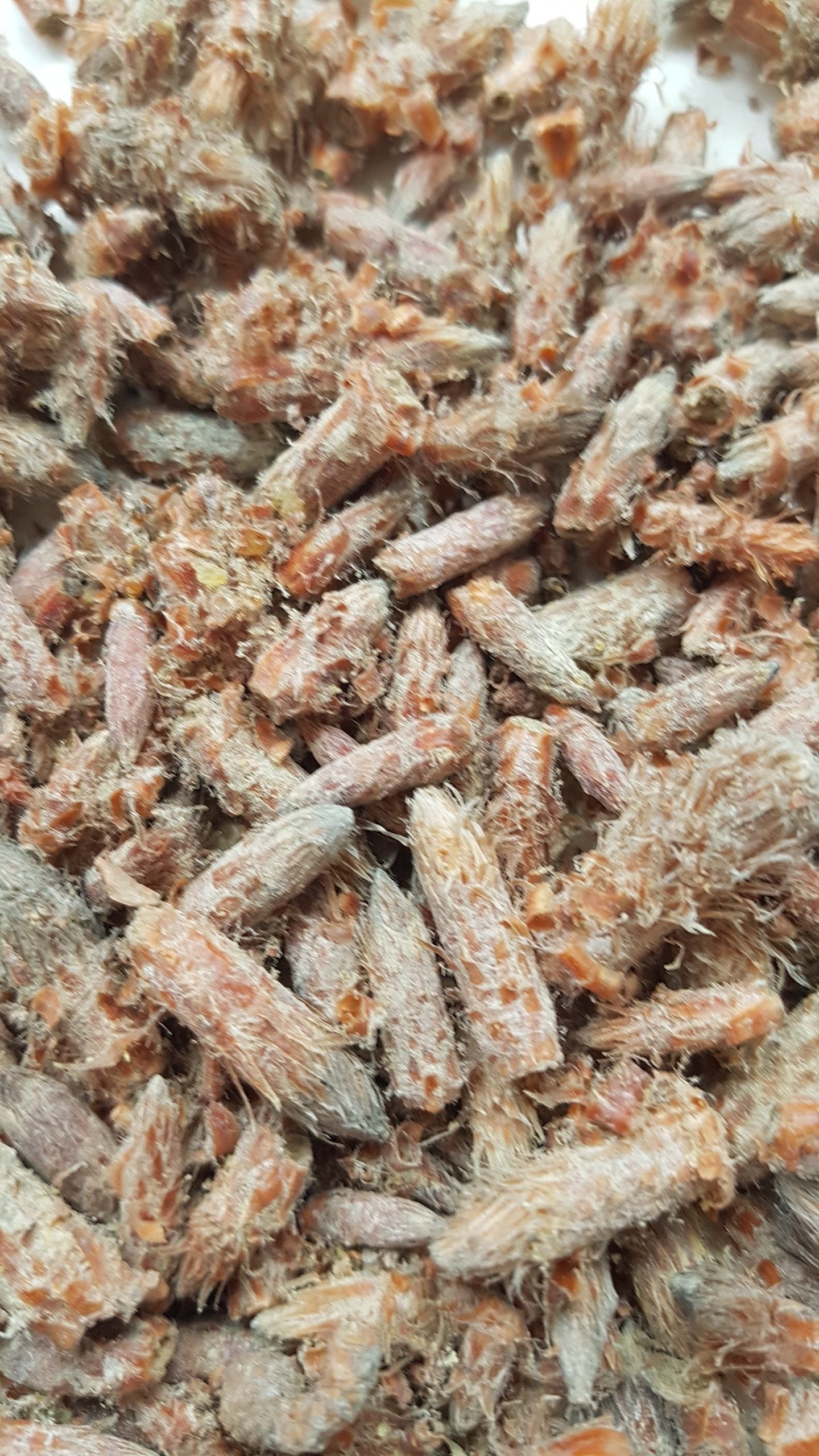 Pine Buds,pinus Sylvestris Dried Organic Pine Buds, Herbal Tea 100% ...