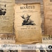 Dnd Bounty Poster: Wanted Starter Pack Npcs (PDF Template Editable ...