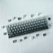 Gradient Shadow Keycap Set, OEM Profile, Shine-through, PBT, Cherry MX ...