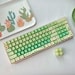 Plant Lover Keycap Set, Cherry and MDA Profile, PBT, Cherry MX Stem ...