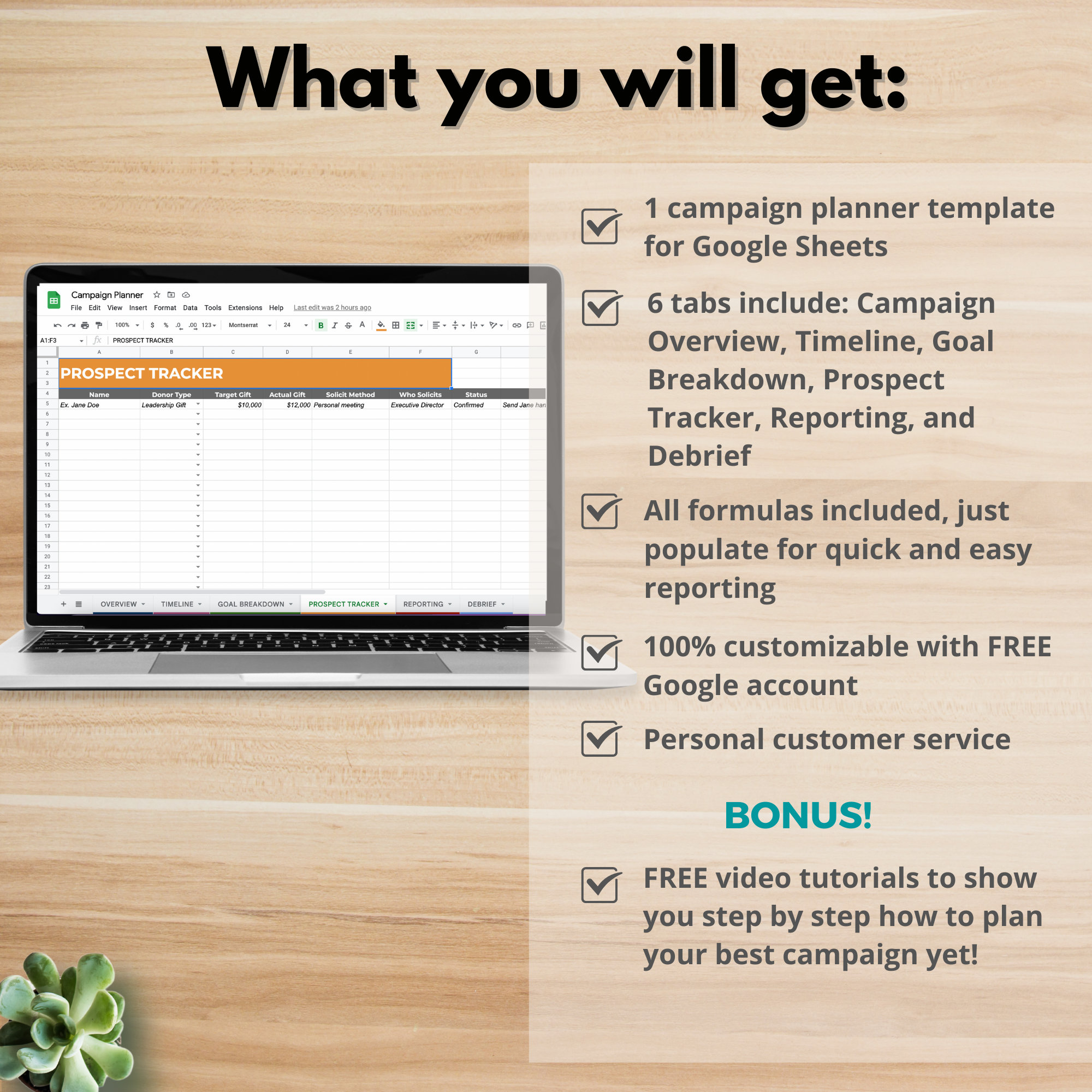 CAMPAIGN PLANNING WORKBOOK Google Sheets Template Nonprofit - Etsy