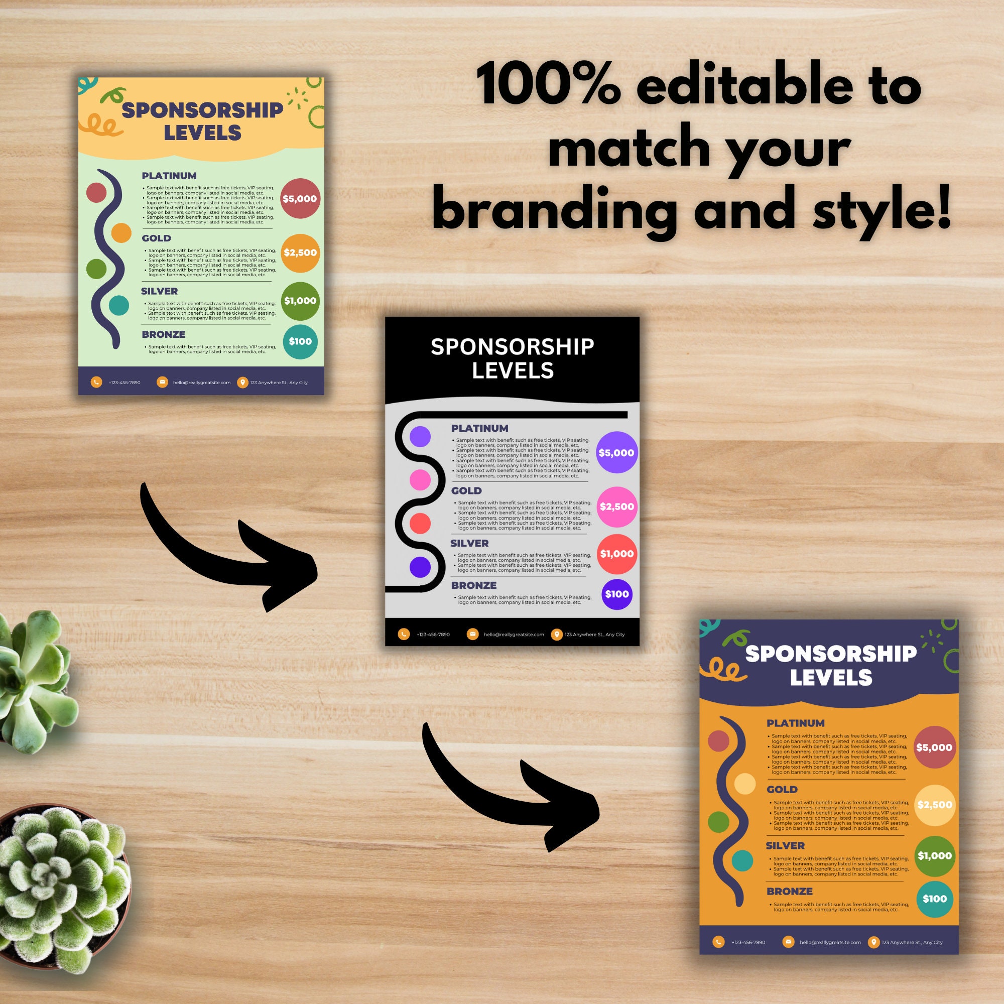 SPONSORSHIP LEVEL OVERVIEW Template - Canva Template, Editable ...