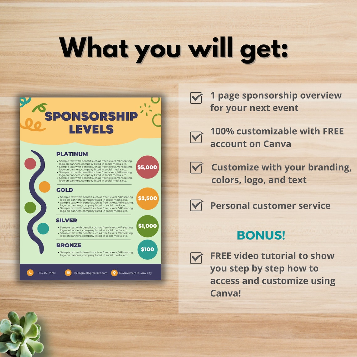 SPONSORSHIP LEVEL OVERVIEW Template - Canva Template, Editable, Corporate Sponsor, Fundraising ...