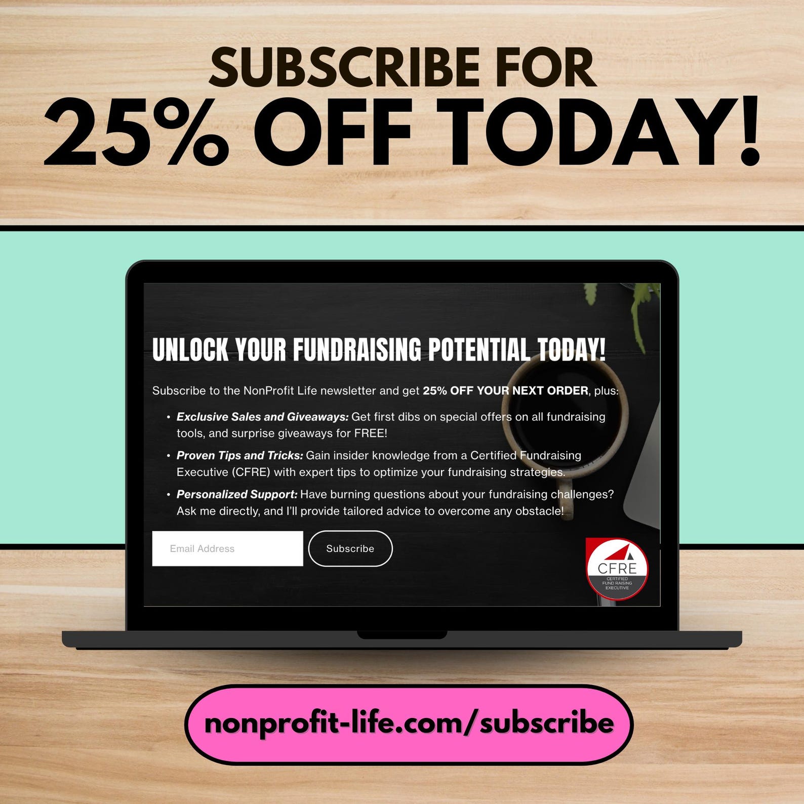 School Fundraiser Template - Editable Canva Donation Tracker (digital ...