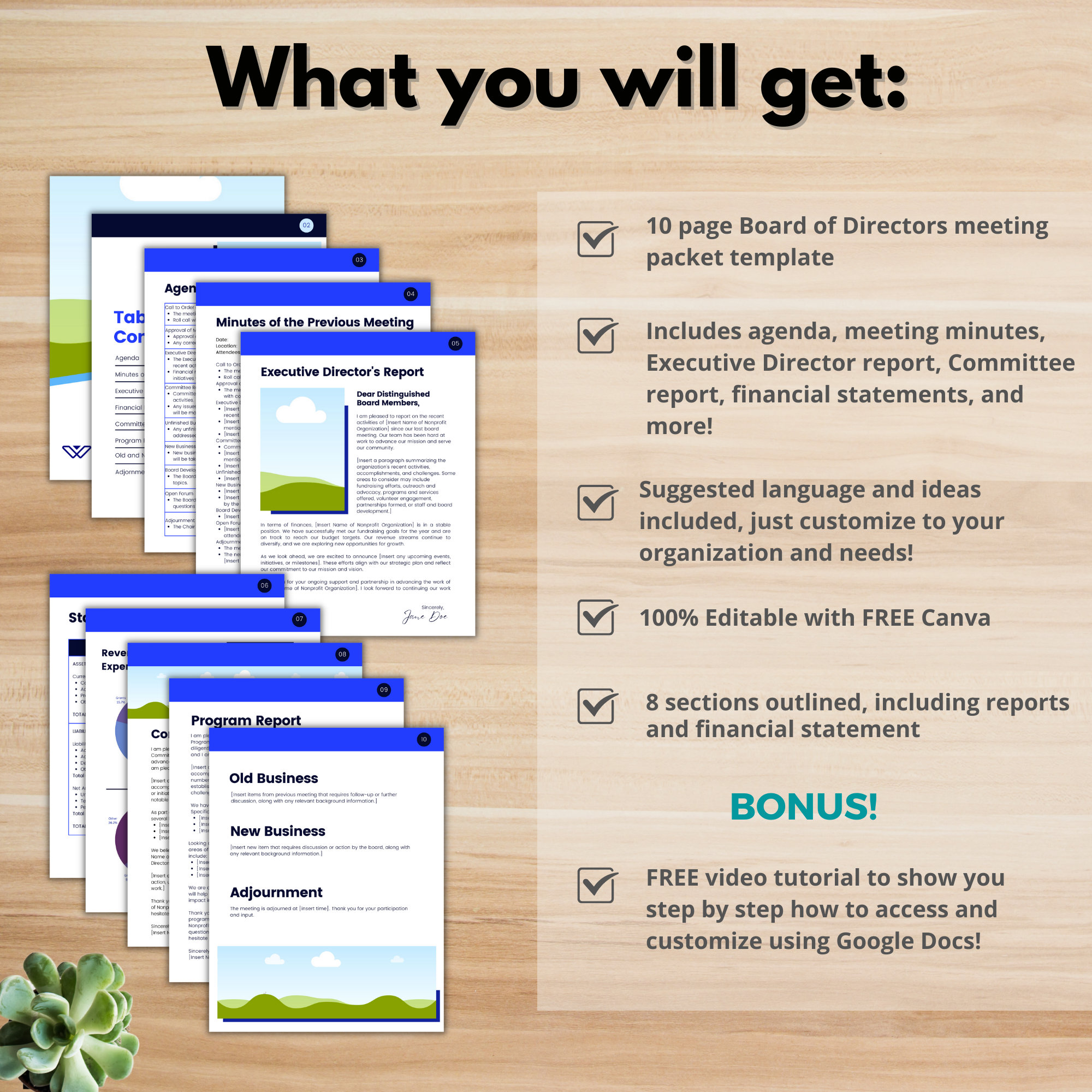 Canva Board Meeting Packet — NonProfit Life