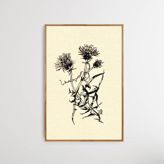 Thistle Line Drawing
