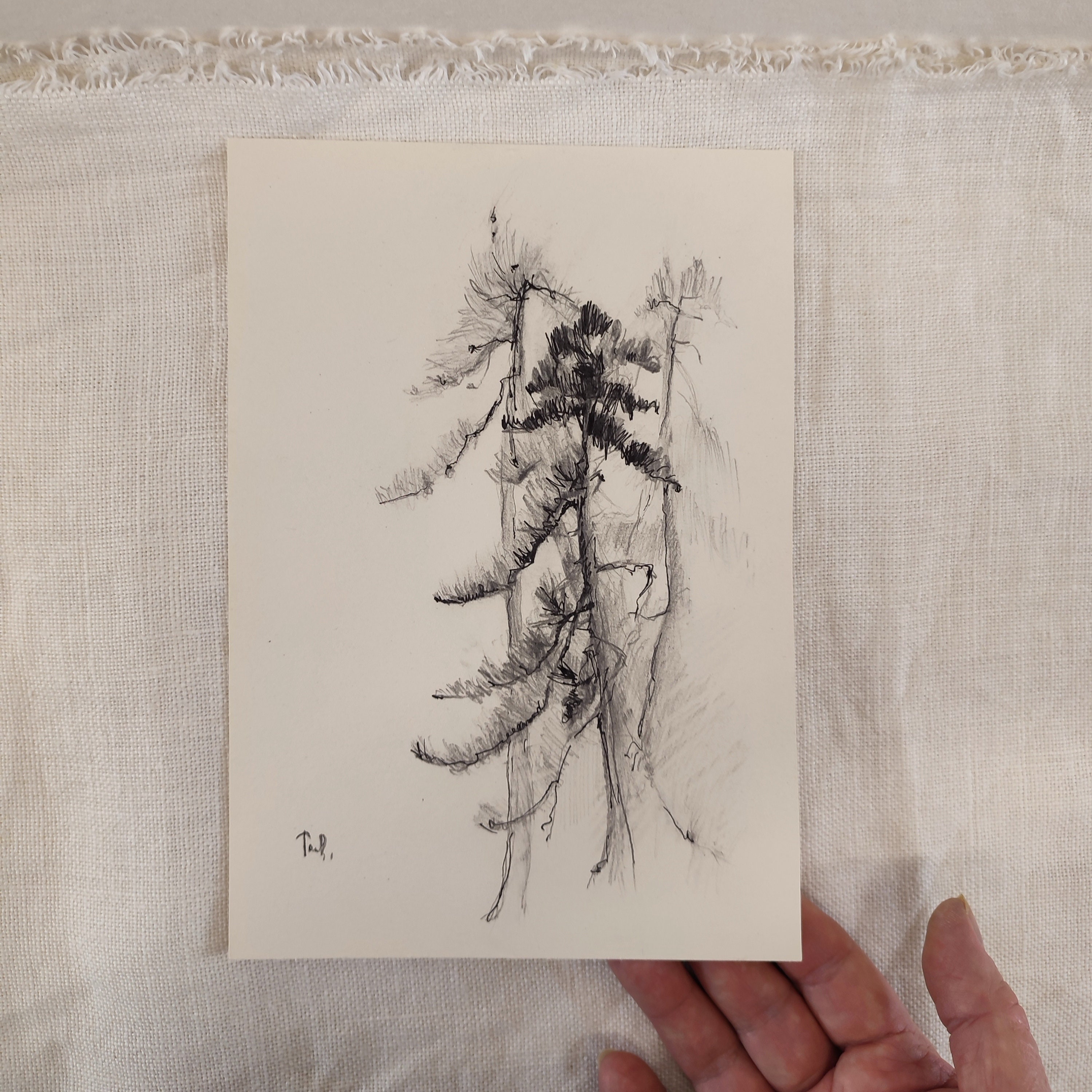 Christmas Tree Ink Drawing Tree Original Modern Line Drawing. - Etsy UK