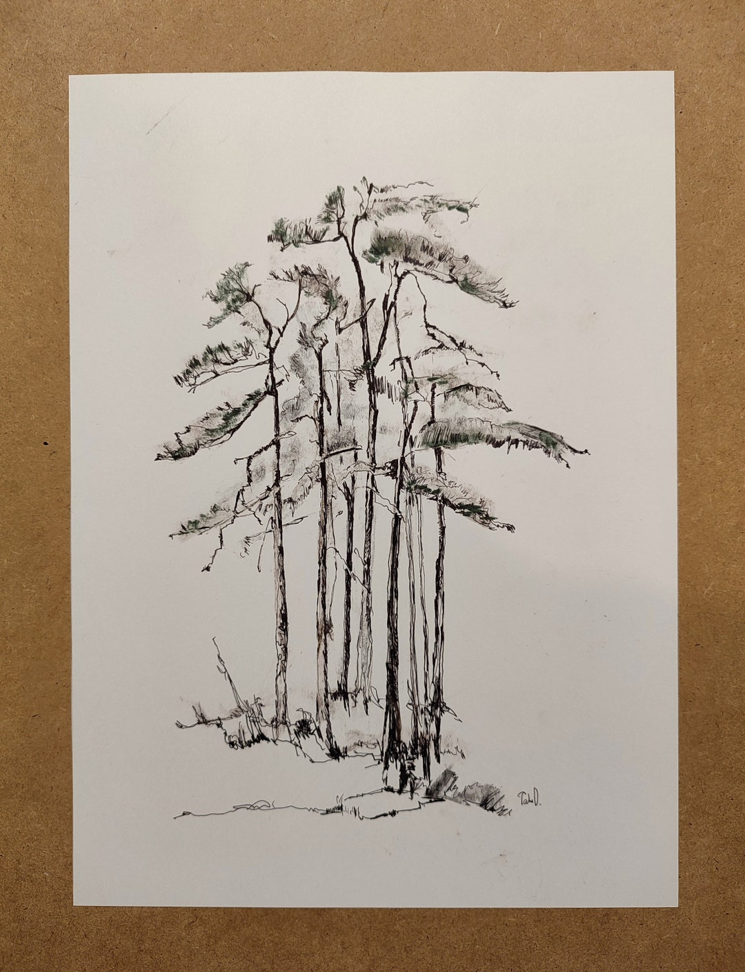 Christmas Tree Pencil Sketch, Ink Drawing Tree Original Modern Line ...