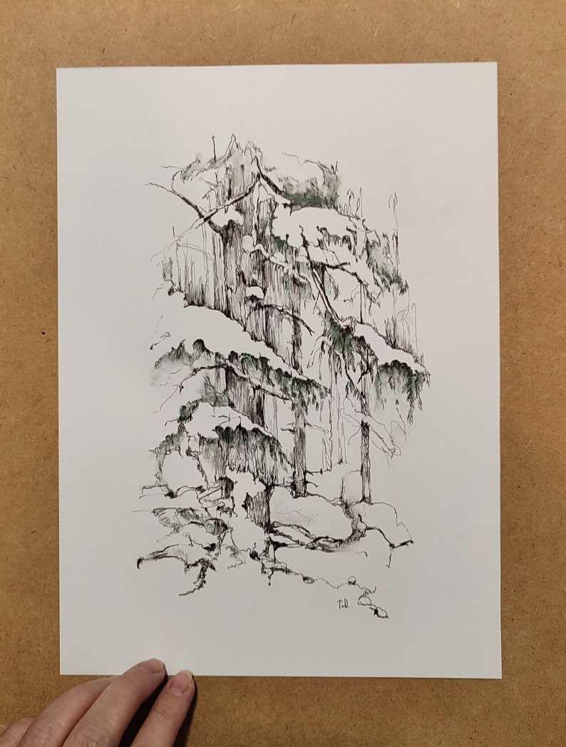 Christmas Tree Pencil Sketch Ink Drawing Tree Original Modern - Etsy