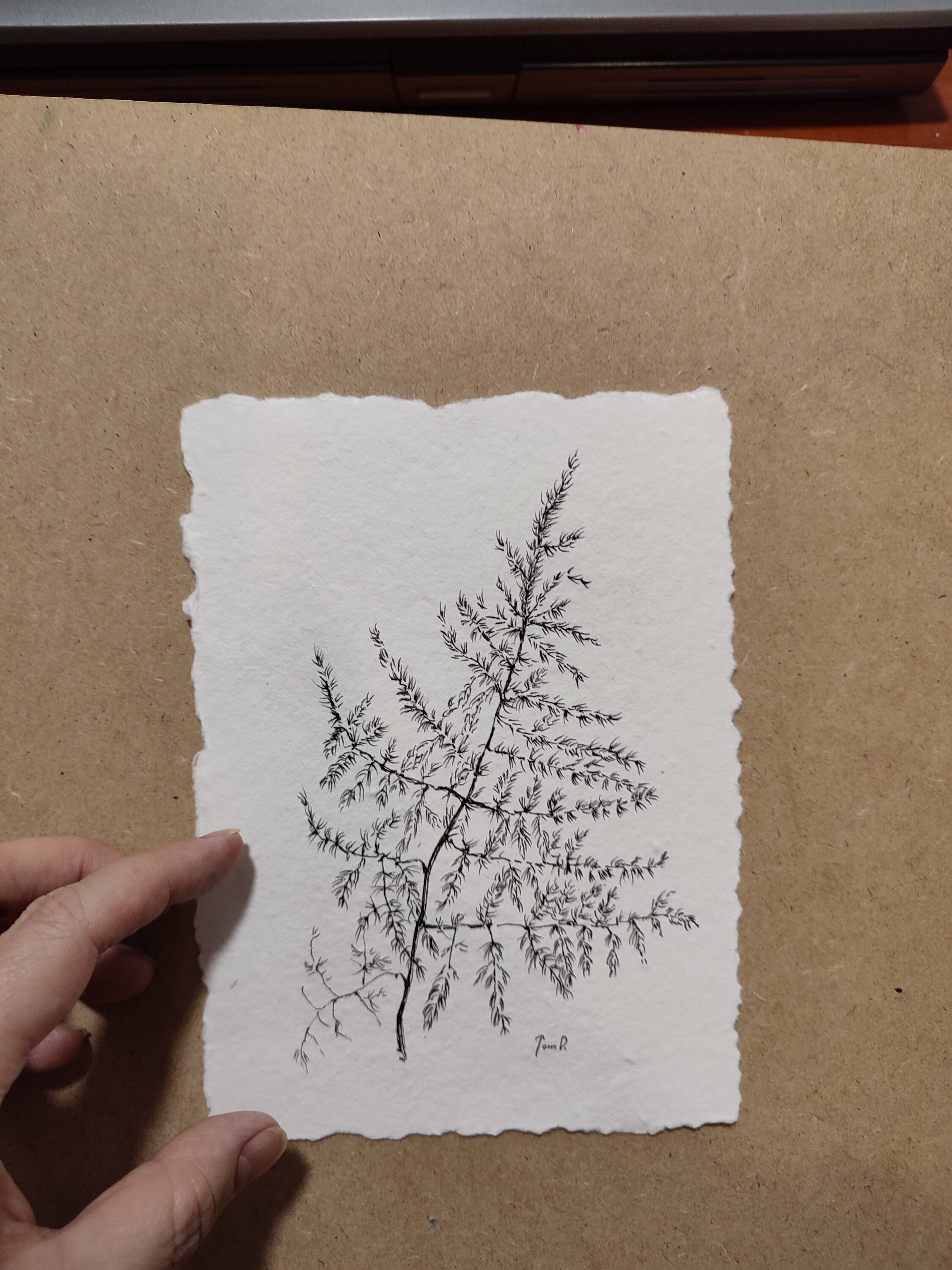 Botanical Line Art Fern Drawing. One Line Drawing Fern - Etsy