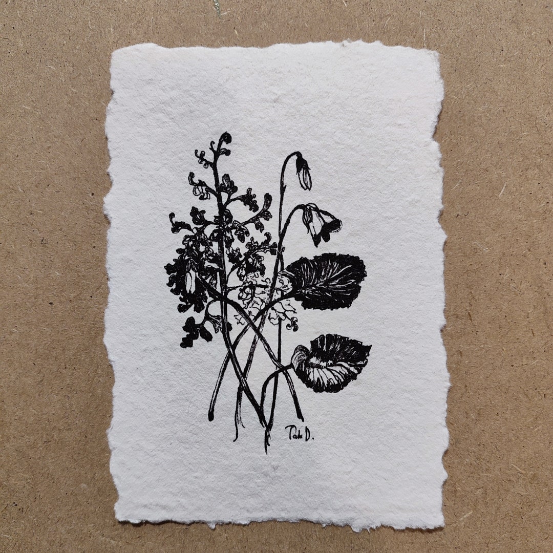 Botanical Sketch, One Line Drawing, Wildflower Meadow, Floral Line Art ...