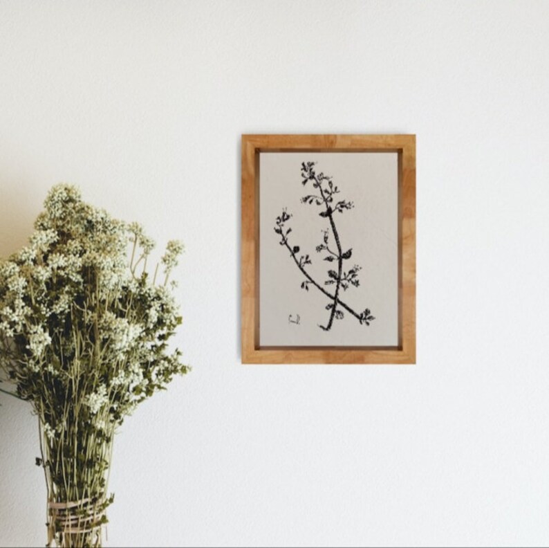 One Line Drawing, Botanical Sketch. ORIGINAL Ink Sketch, Simple ...