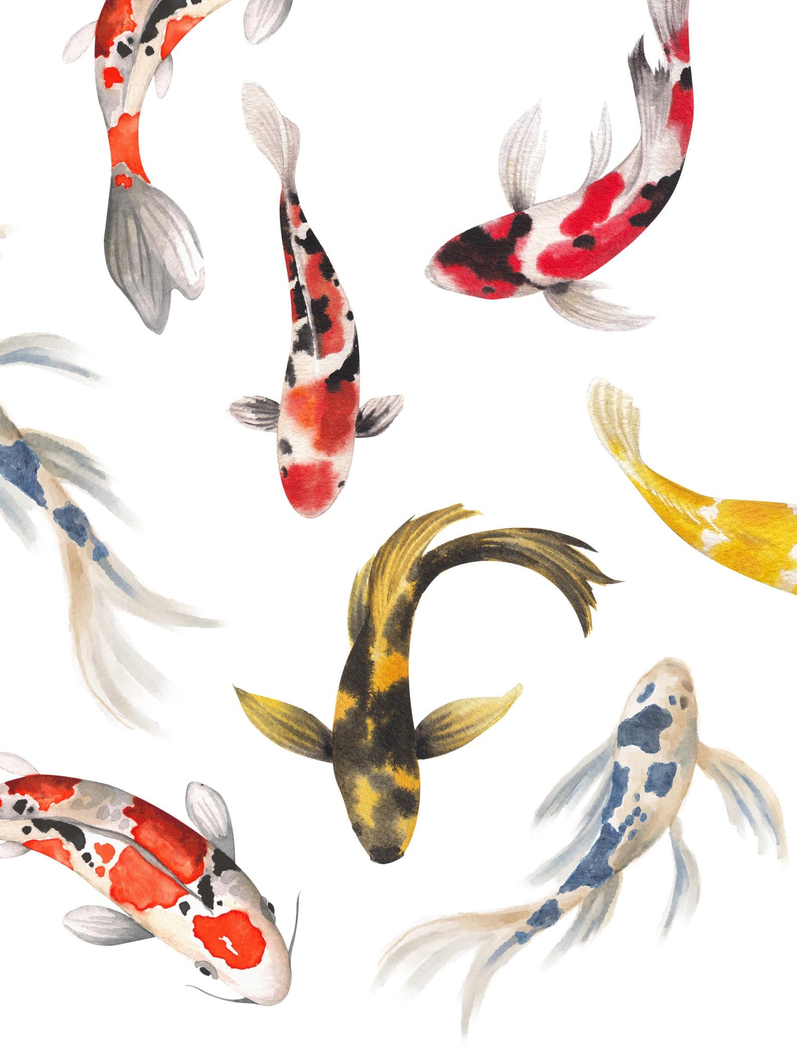 Simple Watercolor Koi Fish Pinterest Digital Poster - Etsy