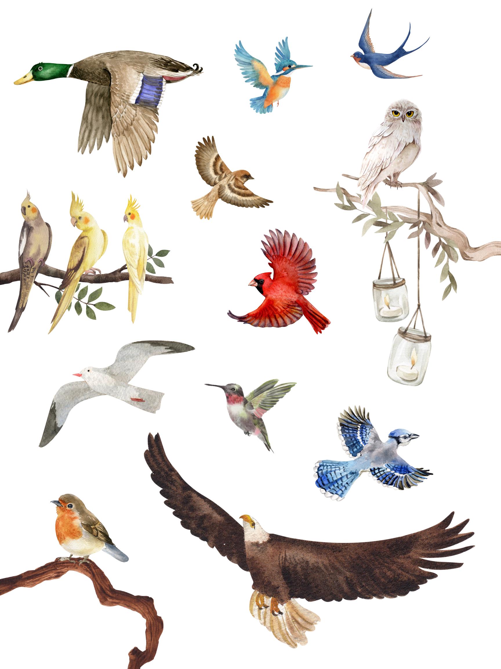 Simple Watercolor Birds Pinterest Digital Poster - Etsy