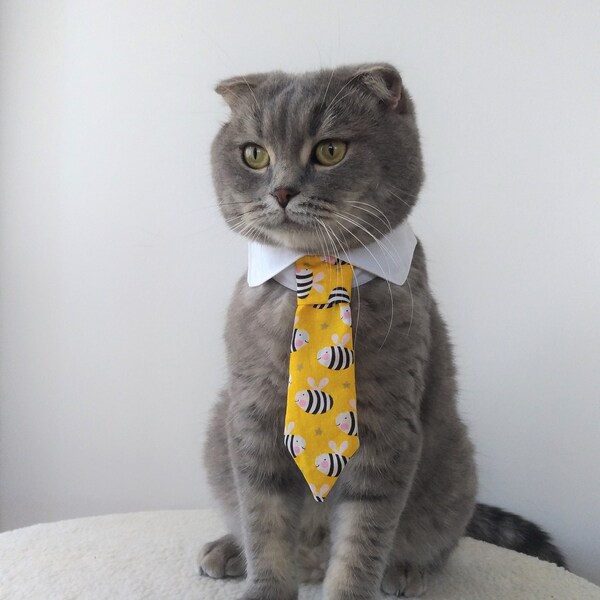 Cat Accessories - Etsy