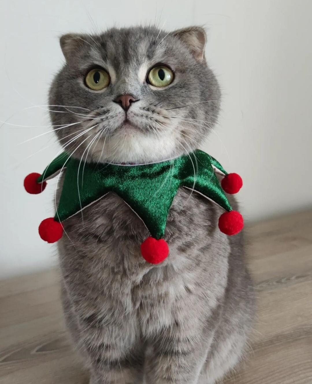 Elf Collar for Pets, Christmas Cat Costume, New Year Cat Clothing, Pet ...