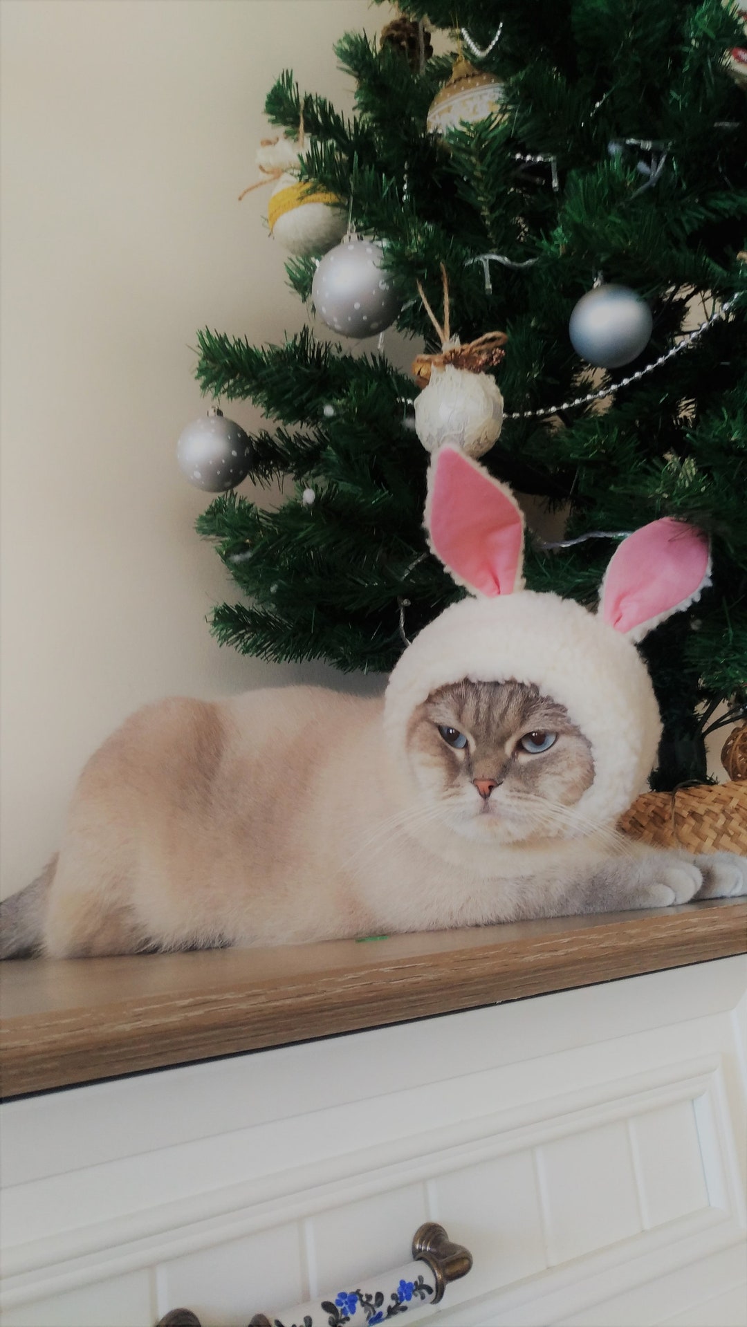 Easter Bunny Cat Costume, Rabbit Hat for Cats, Pet Costume, Cat Hat ...