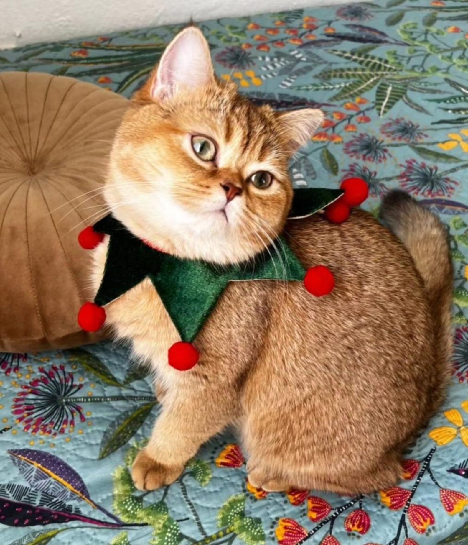 Elf Collar for Pets, Christmas Cat Costume, New Year Cat Clothing, Pet ...