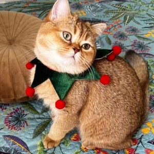 Elf Collar for Cats, Christmas Costume for Pets, Elf Scarf for Pets ...