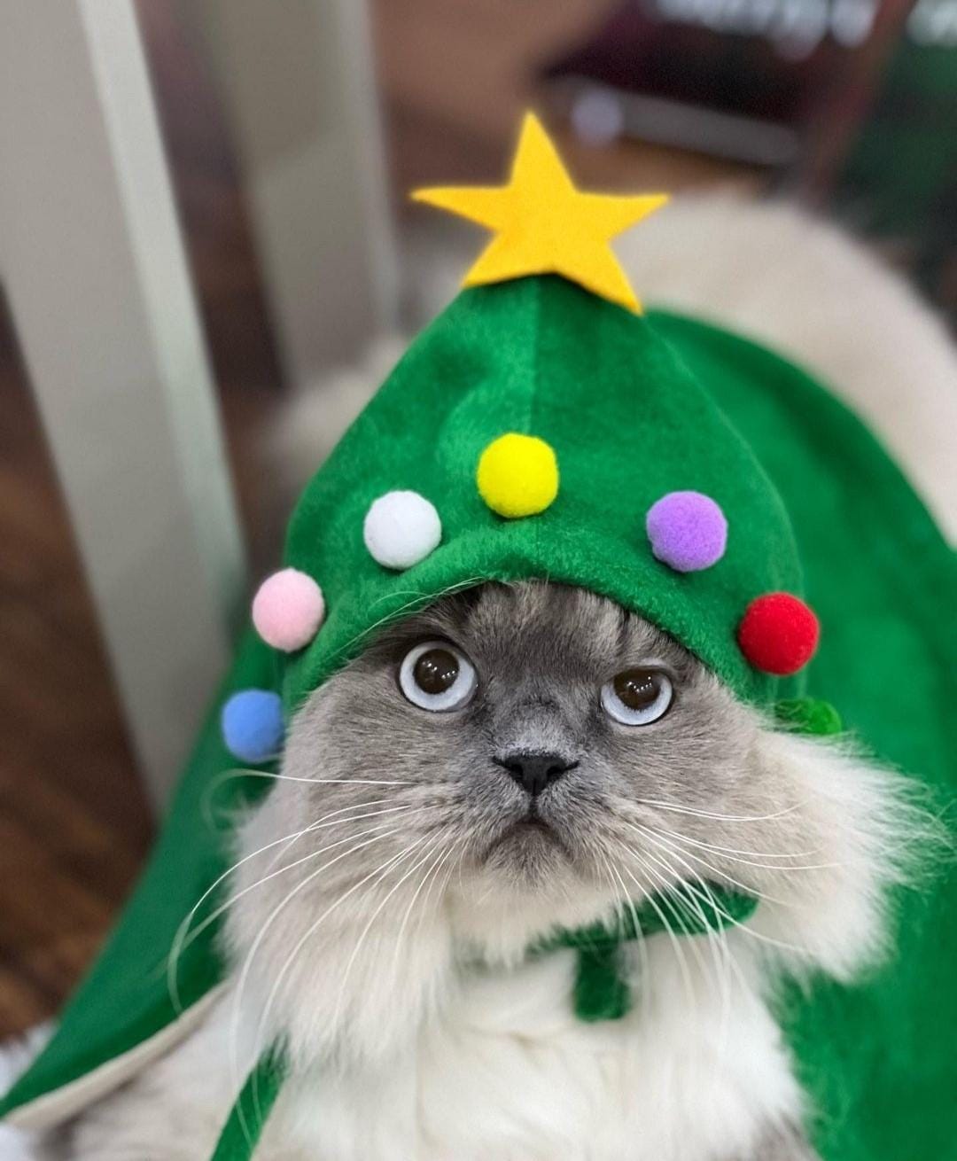 Christmas Tree Costume for Cat, Christmas Cape for Cats, New Year Cat ...