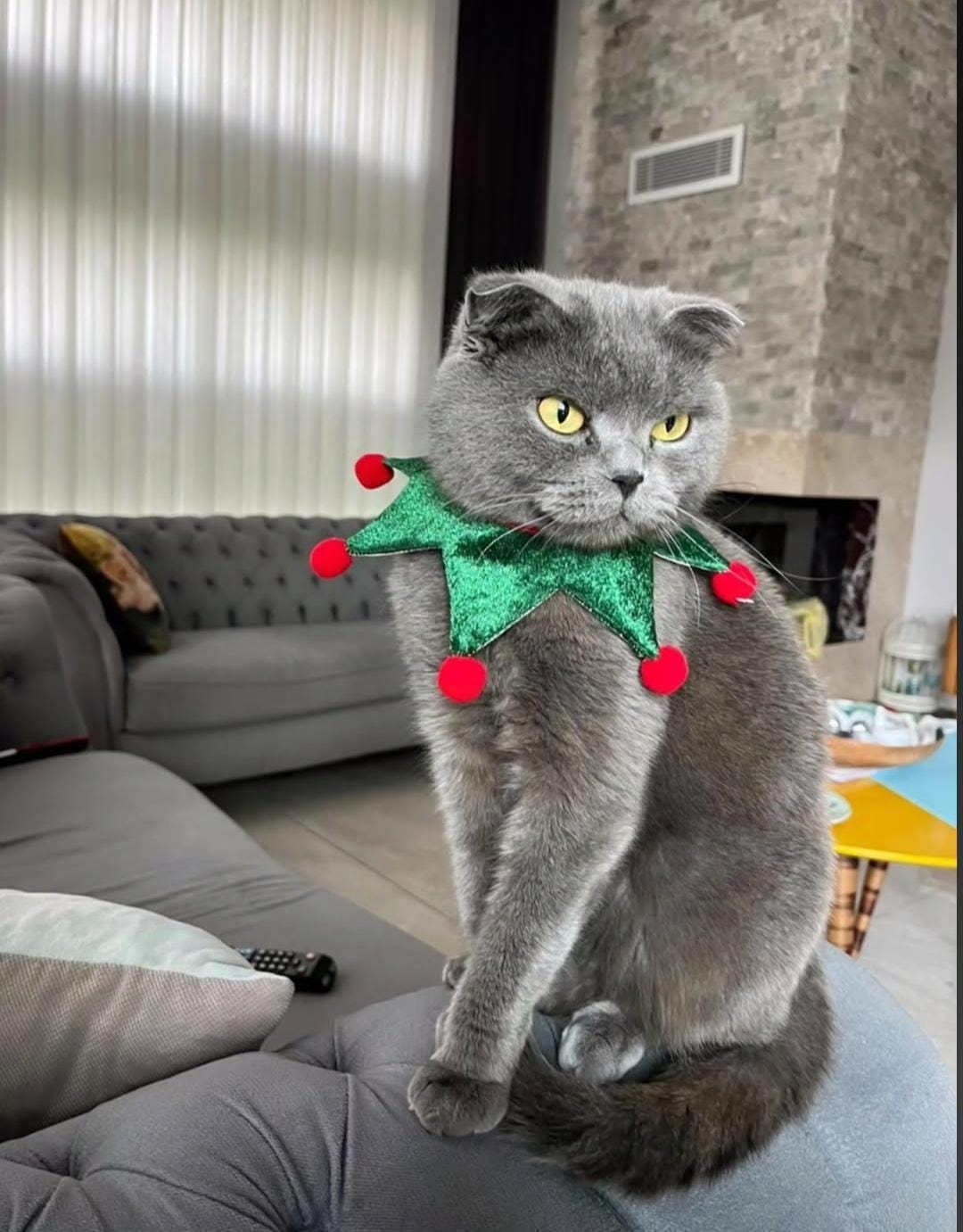 Elf Collar for Pets, Christmas Cat Costume, New Year Cat Clothing, Pet ...