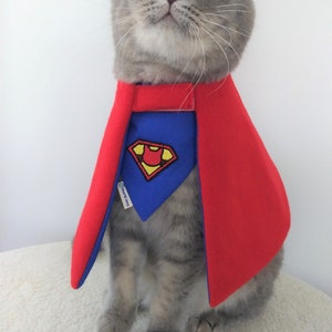 Supercat Costume for Cats, Super Hero Cape, Cat Costume, Super Cat ...